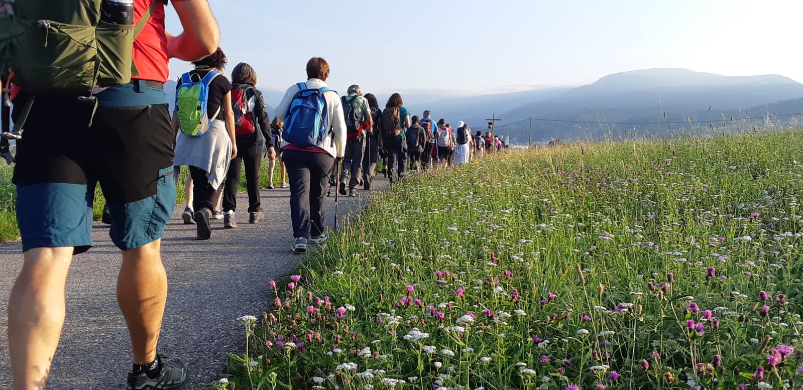 Rivivi il pellegrinaggio Sanzeno-Senale con i testi delle meditazioni ...